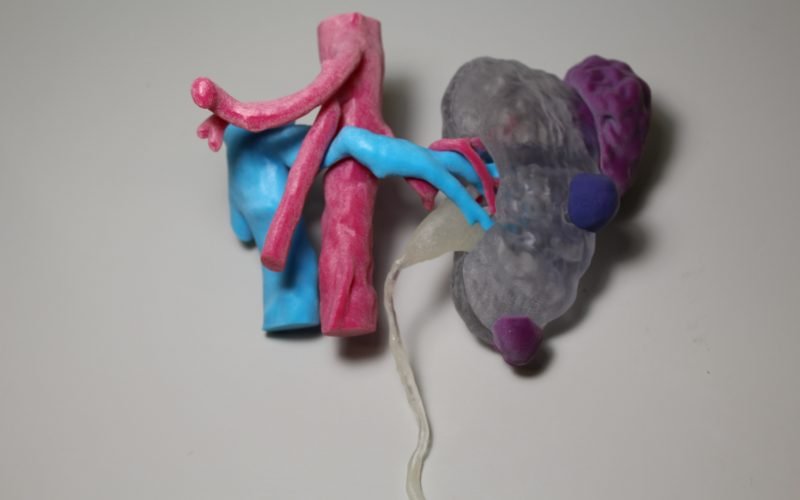 Urology » 3D4MED